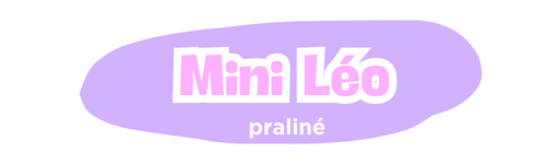 Miniz' : La maxi gourmandise en format mini ! - Pâtisserie La Romainville